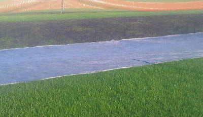 Evergreen Radiant Silver Turf Cover – Turf Group Australia