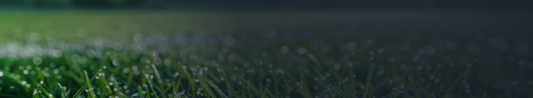Chemical Spraying – Turf Group Australia