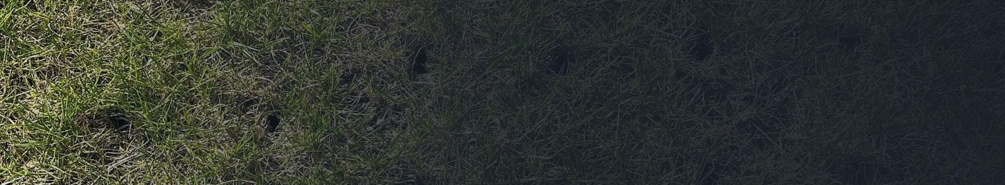 Aeration – Turf Group Australia