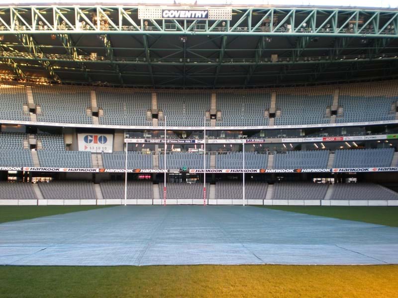 Evergreen Radiant Silver Turf Cover – Turf Group Australia