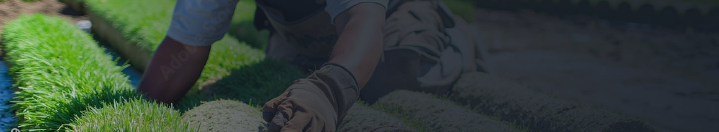 About Us – Turf Group Australia